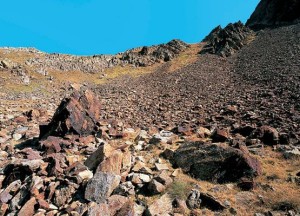 Tipos de meteorización - Tipos